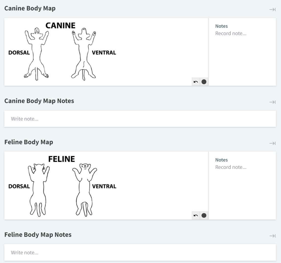 Canine/Feline Body Map and Notes