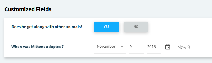 Custom Fields and Client Tags